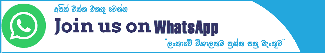 2022 A/L Chinese Past Paper - Past Papers WiKi