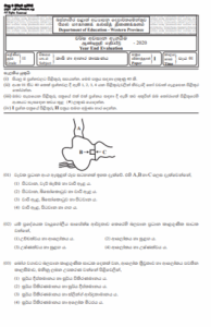Grade 11 Agriculture & Food Technology Past Paper 2020 (3rd Term Test ...