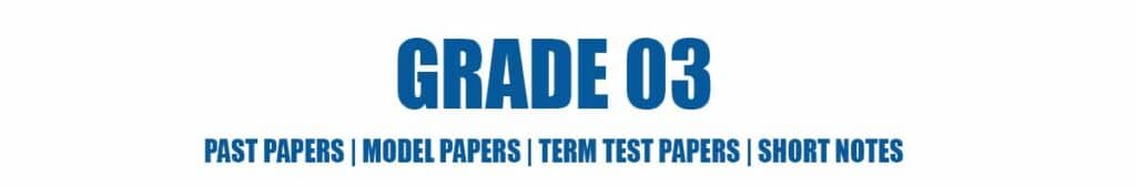 Grade 03 - Past Papers | Term Test Papers | Notes