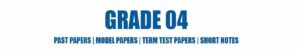 Grade 04 - Past Papers | Model Papers | Term Test Papers | Short Notes