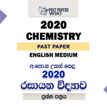 2020 A/L Business Studies Past Paper | English Medium