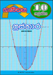 Grade 10 Mathematics | Graphs Workbook
