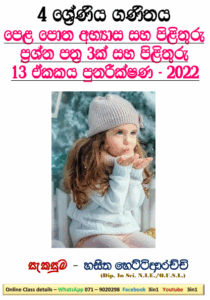 Parimawa Ha Darithawaya (01) Grade 04 Mathematics Unit 13 | Questions ...