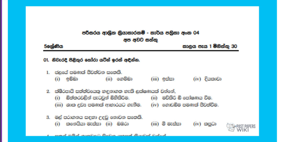 Grade 05 Environment | Unit 01- Environmental Activities (04)