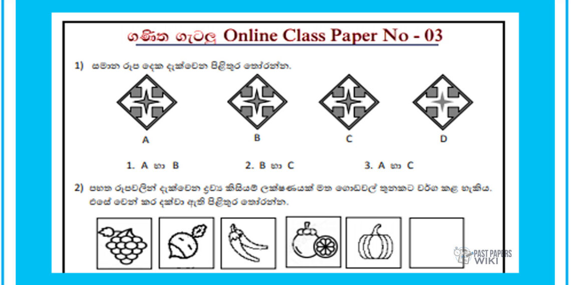 Grade 05 Mathematics | Questions Paper No 03