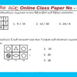 Grade 05 Mathematics | Questions Paper No 03