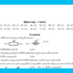 Grade 06 Science | 3rd Term Test (1)