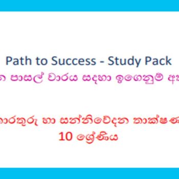 Grade 10 Study Pack - ICT | Past Papers WiKi