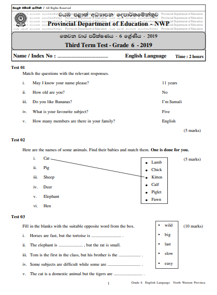 Grade 06 English 3rd Term Test Paper With Answers 2019 North Western 