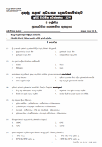 Grade 08 Practical And Technical Studies 2nd Term Test Paper With ...
