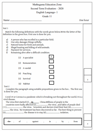 Grade 11 English Second Term Test Paper with Answers 2020