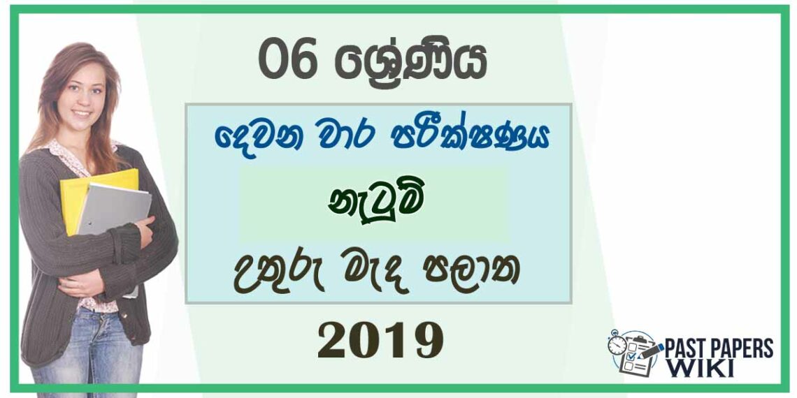 Grade 06 Dancing 2nd Term Test Paper 2019 - Sinhala Medium | North ...
