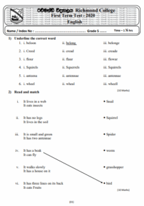 Grade 5 English Paper 2020 - Past Papers WiKi