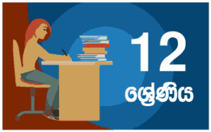 Past Papers WiKi - Most Extensive Wikipedia of Past Papers