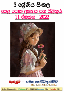 Rajathumage Otunna Grade 03 Sinhala Unit 11 | Questions And Answers