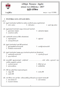 Grade 05 Buddhism 3rd Term Test Exam Paper 2017