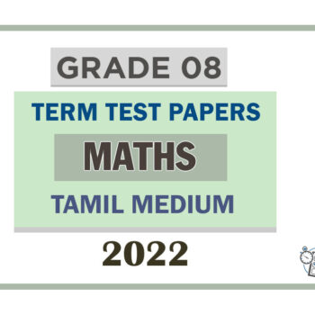 Grade 08 Maths Term Test Papers | English Medium