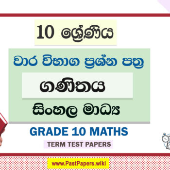 Grade 10 Maths Term Test Papers | English Medium