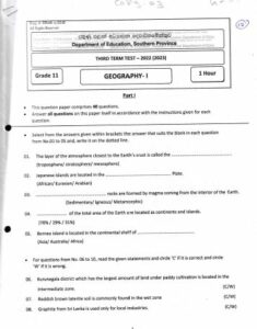 2022 Grade 11 Geography 3rd Term Test Paper | English Medium