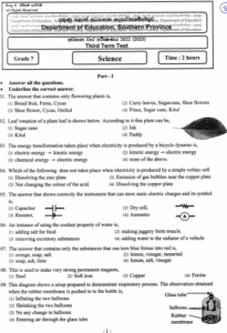 2022 Grade 07 Science 3rd Term Test Paper | English Medium