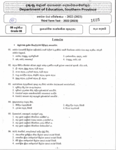 2022 Grade 08 PTS 3rd Term Test Paper | Sinhala Medium