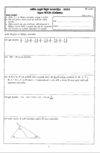 2023 Grade 10 Ganitha Danuma Minuma Paper | Zone