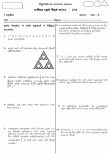 2018 Grade 09 Ganitha Danuma Minuma Paper | Minuwangoda Zone