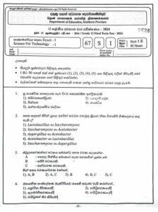 2024 Grade 13 SFT 3rd Term Test Paper with Answers | Southern Province