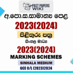 2023(2024) O/L Past Papers and Marking Schemes | Past Papers WiKi